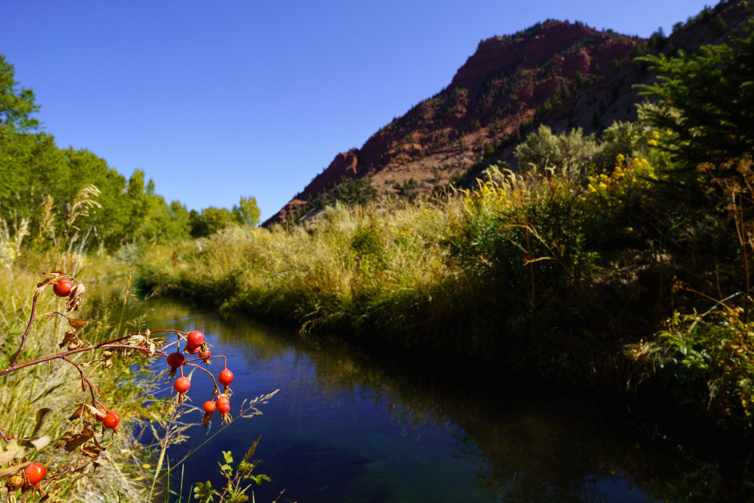 DIAMOND STAR RANCH - Photo Gallery